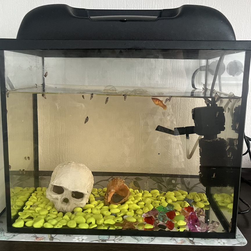 Аквариум с рыбками