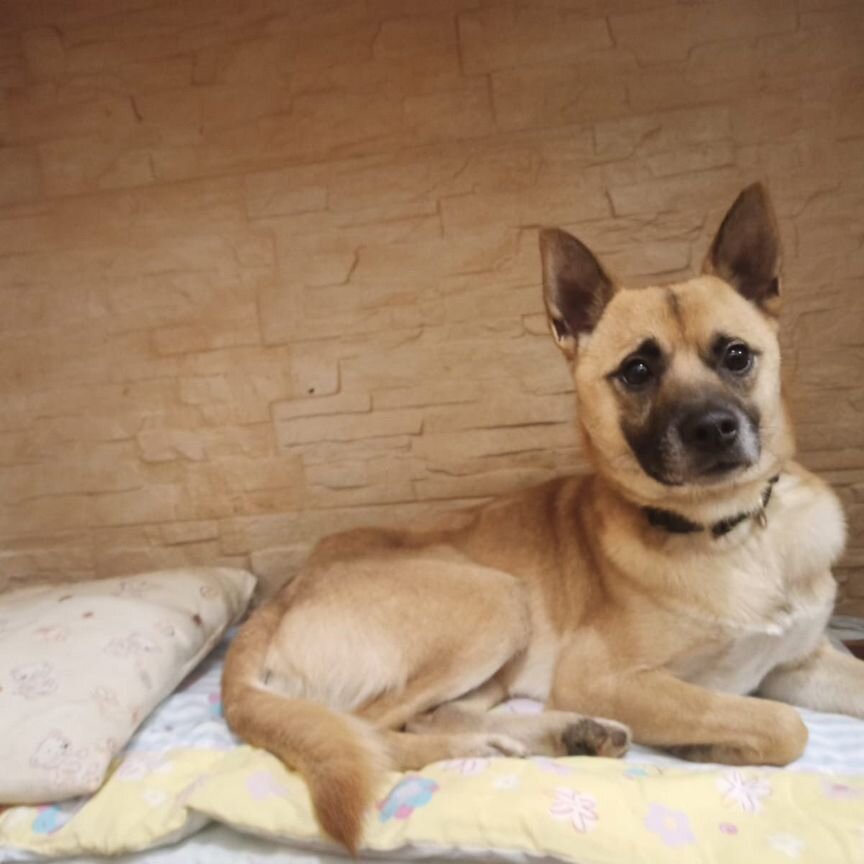 Мальчик мелкаш