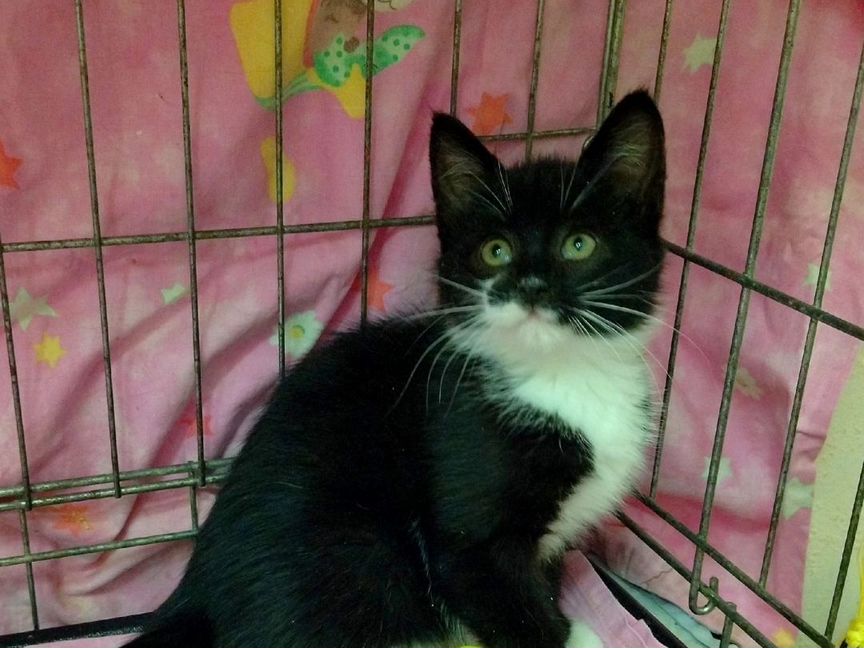 Очень хочет домой