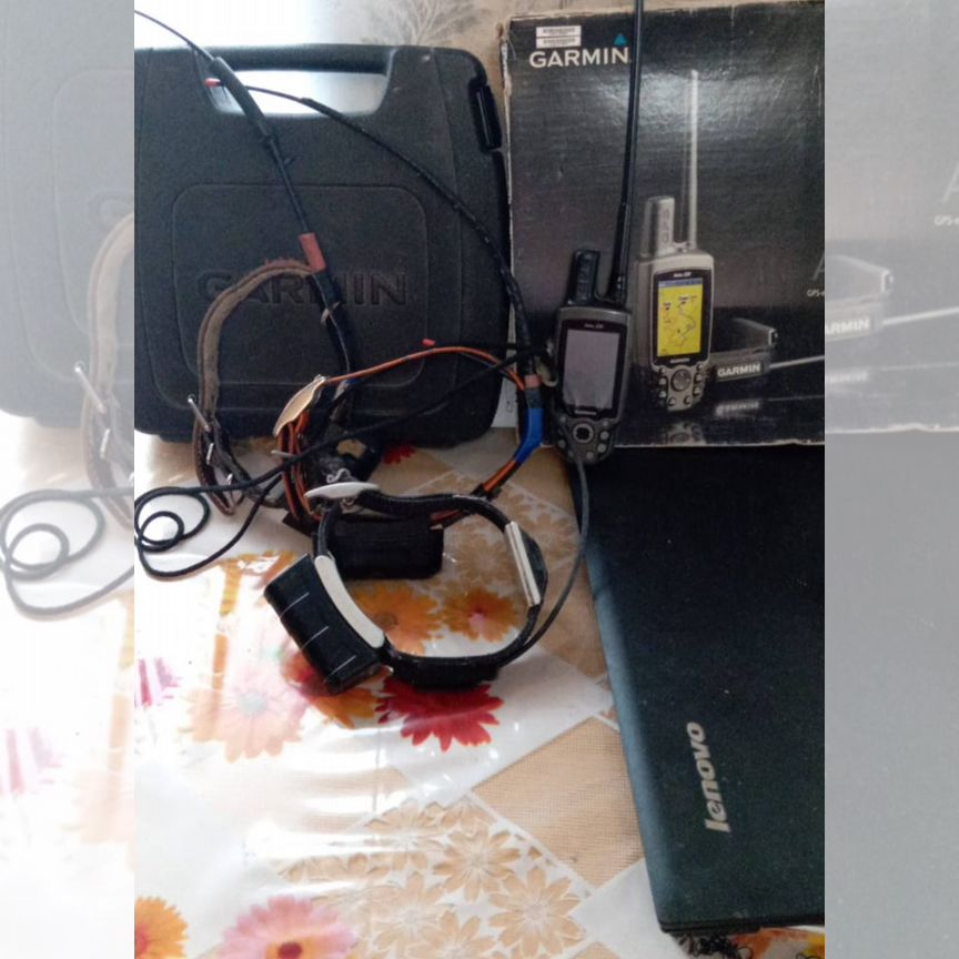 Gps ошейник garmin-Астро 220