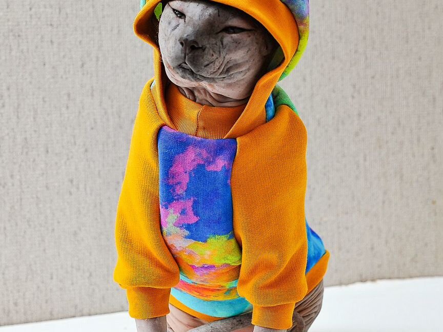 Тёплая одежда для кошки (сфинкса) в асс-е