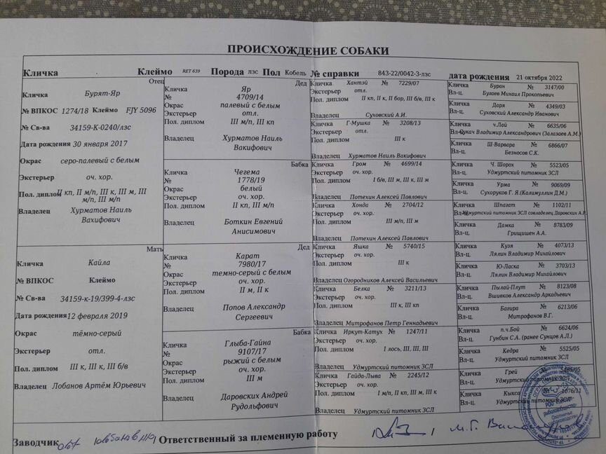 Продам кобеля зсл