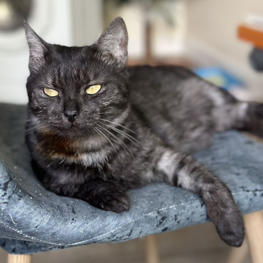 Гаечка в надёжные руки