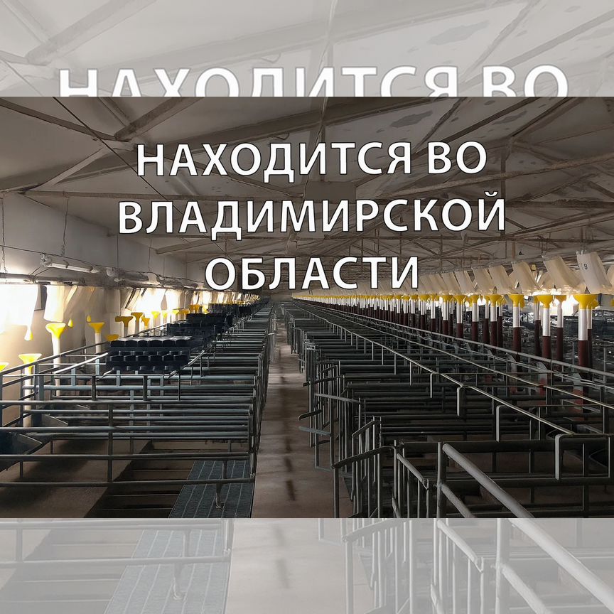 Оборудование для кормления свиней Roxell