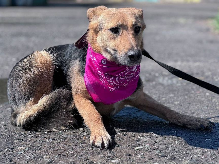 Небольшой молодой девочке так страшно в приюте