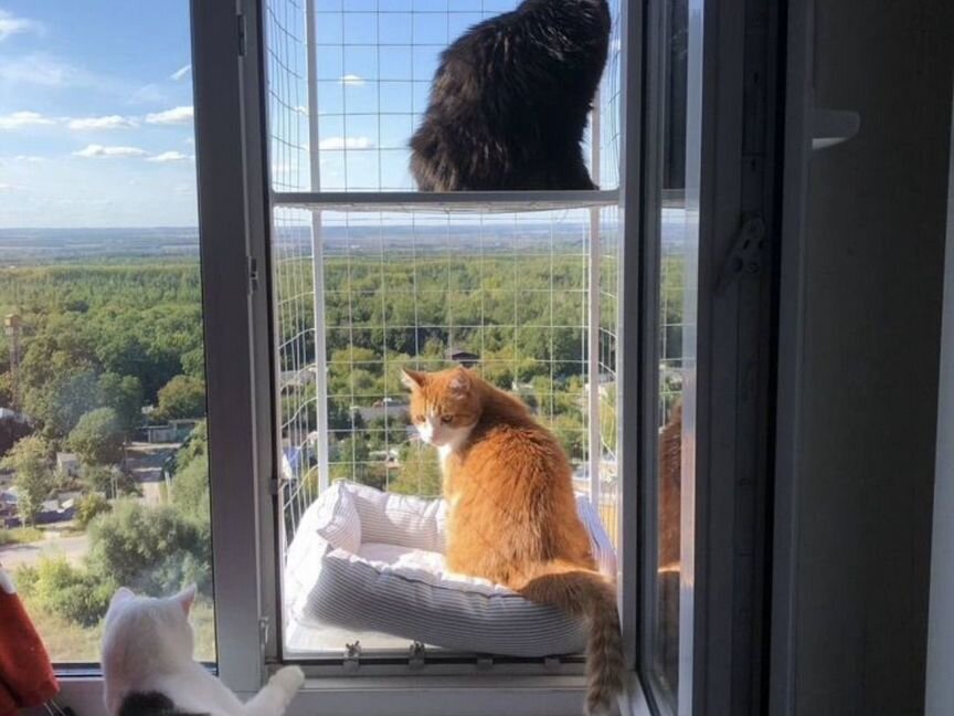 Балкончик для кошки, решетка антикот, вольеры