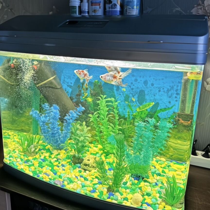 Аквариум с рыбками и всем оборудованием