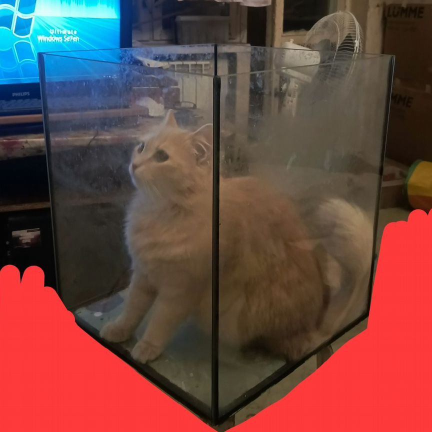 Аквариум 50 литров