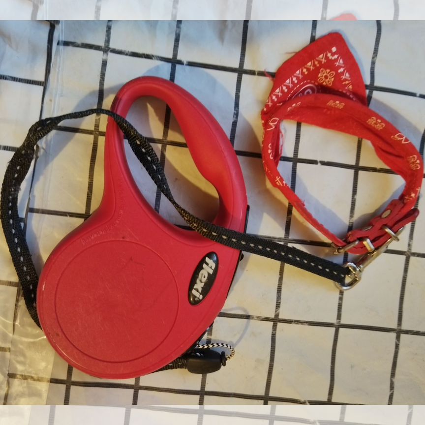 Поводок рулетка для собак мелких пород