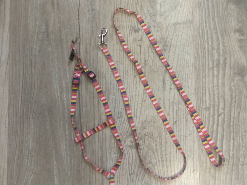 Шлейка и поводок для кошки, маленькой собачки