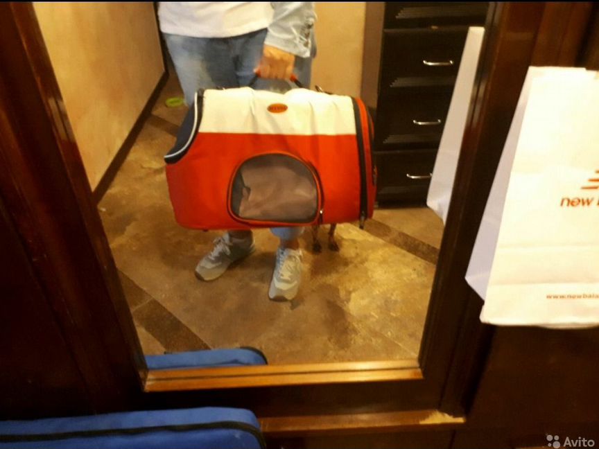 Сумка-переноска Dezzie