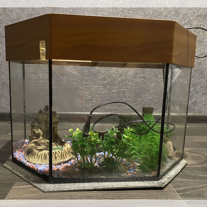 Аквариумные рыбки