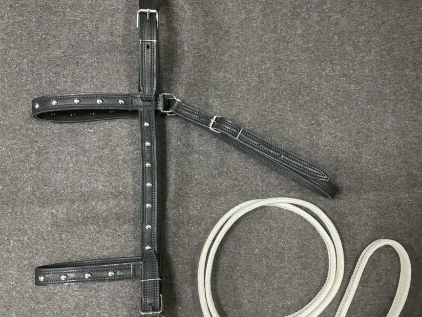 Уздечка для лошади