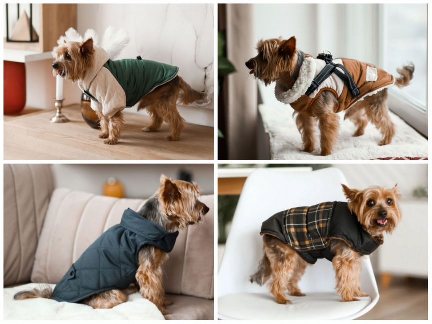 Одежда для собак все размеры