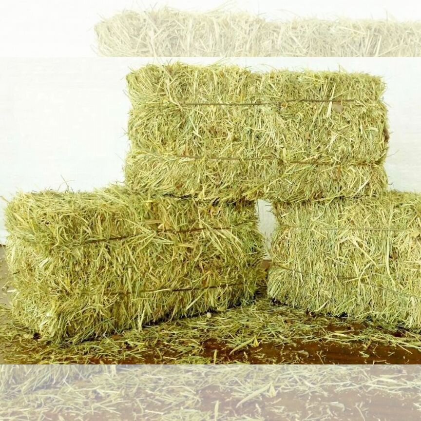 Сено в брикетах