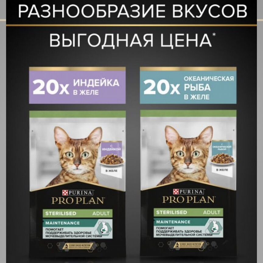 Влажный корм для кошек Pro Plan