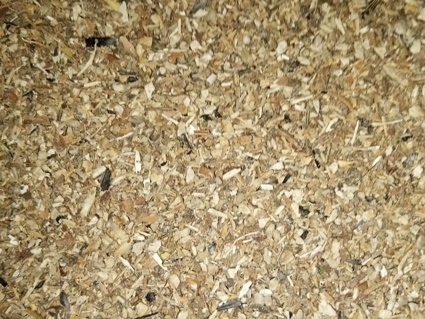 Отходы подсолнечника