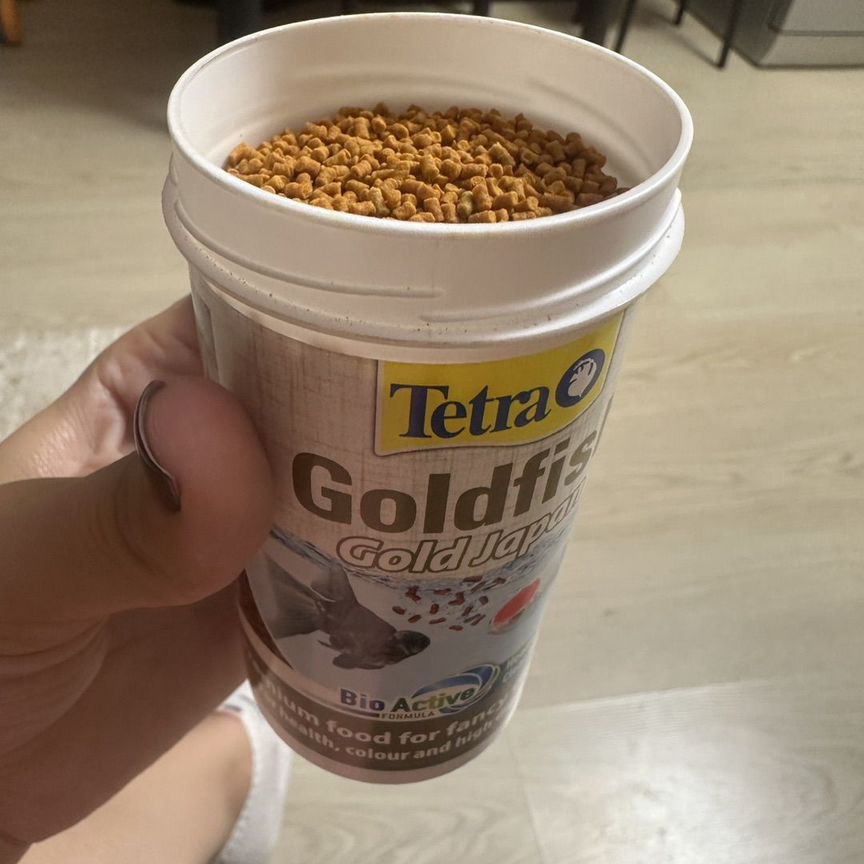 Корм для золотых рыбок и телескопов