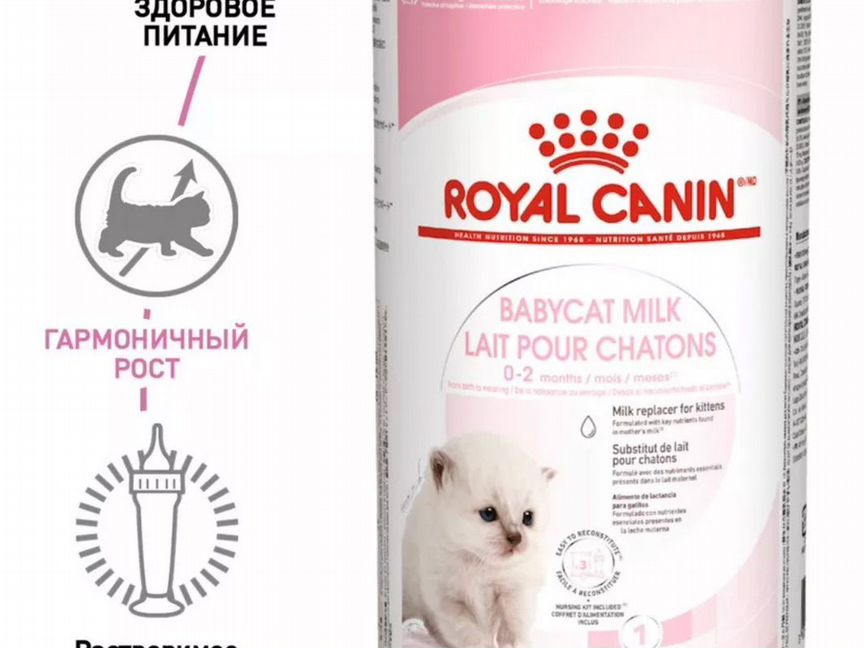 Royal canin молочная смесь для котят