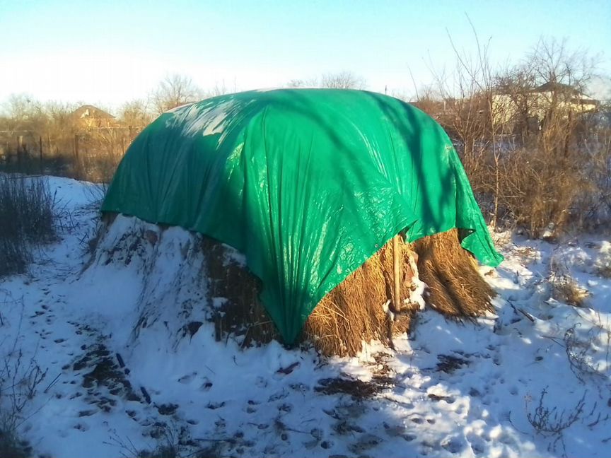 Продам сено