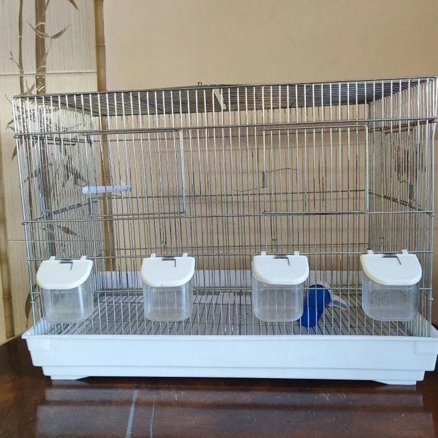 Декоративные птицы