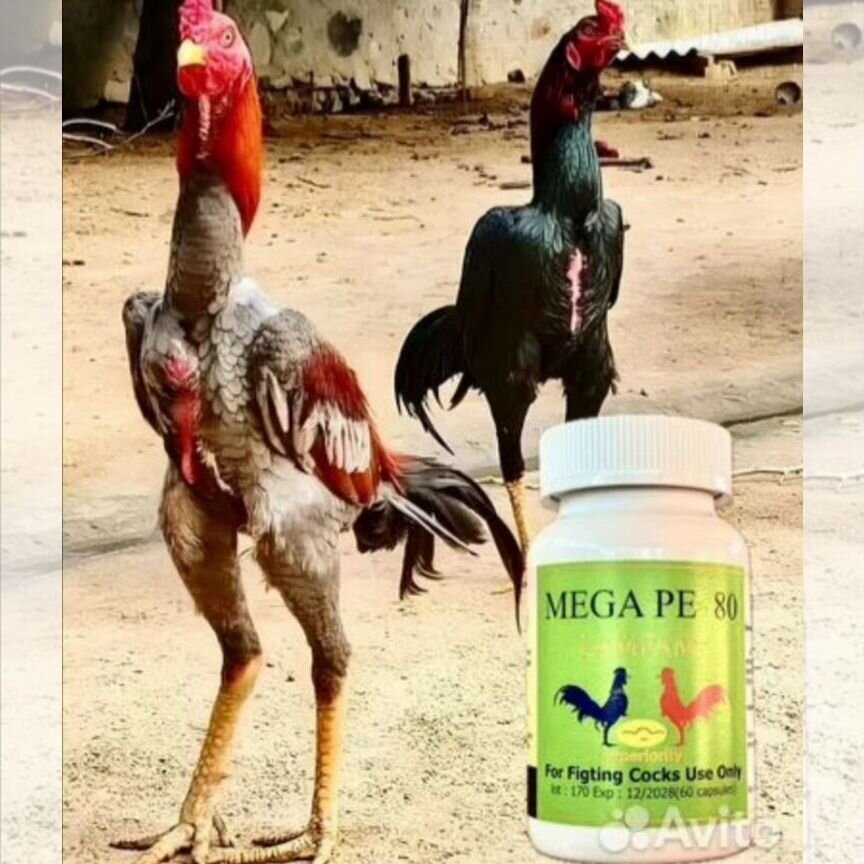 Активатор силы и выносливости