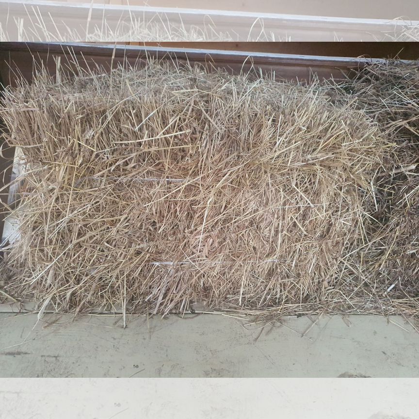 Сено в брикетах