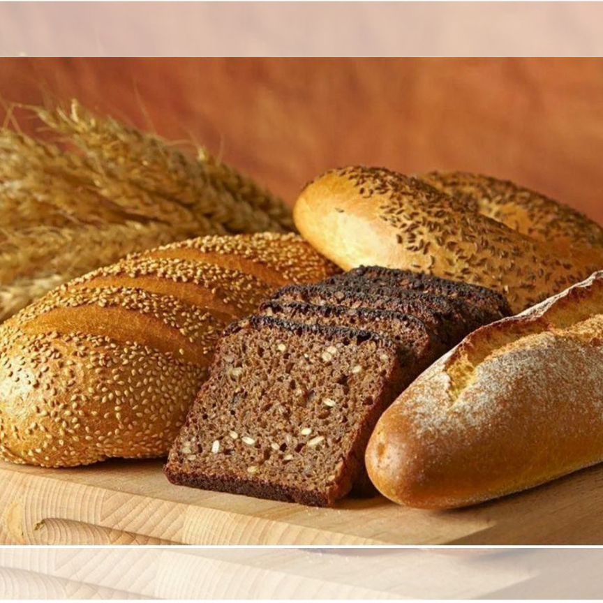 Корма для животных