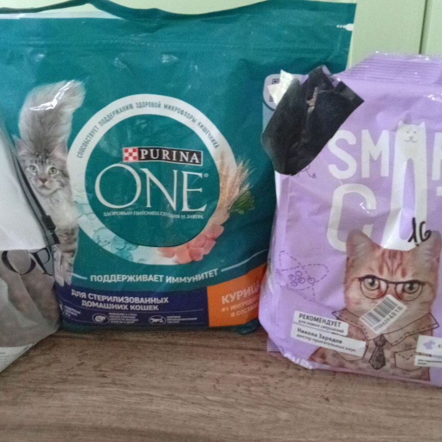 Корм для кошек бесплатно