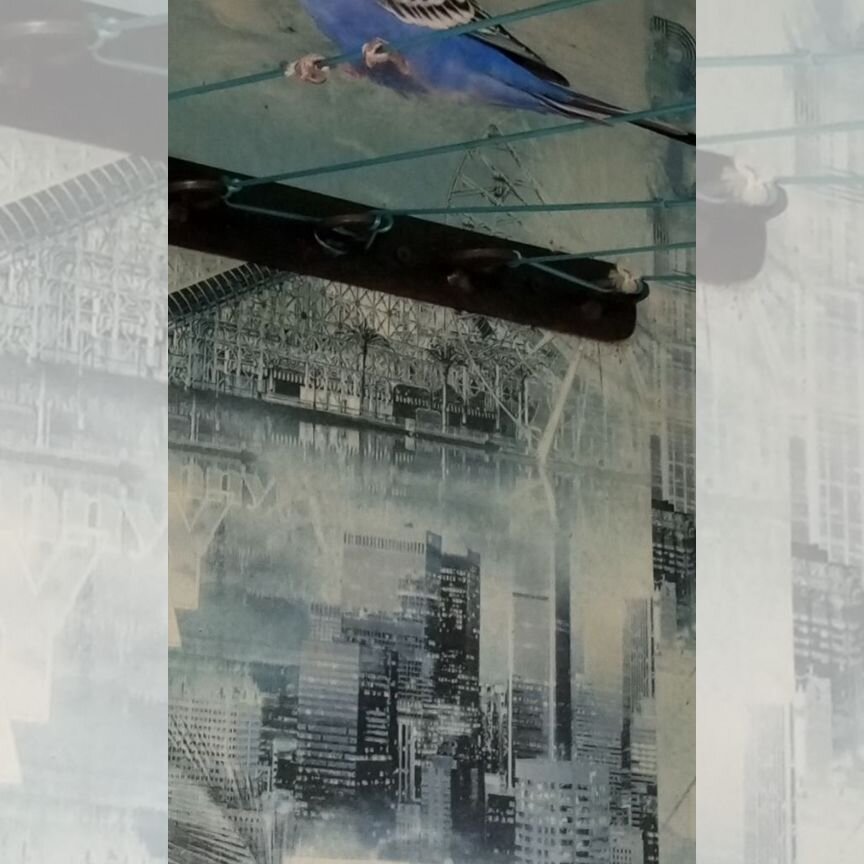 Волнистый попугай с клеткой