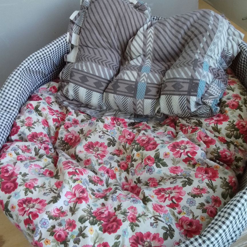 Кошачий лежак