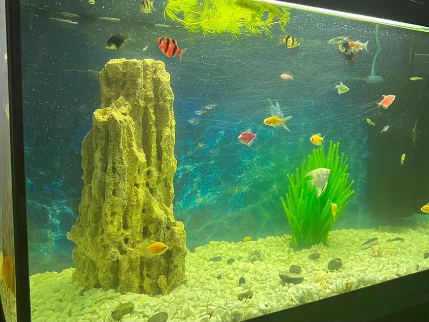 Аквариум с тумбой 180 литров