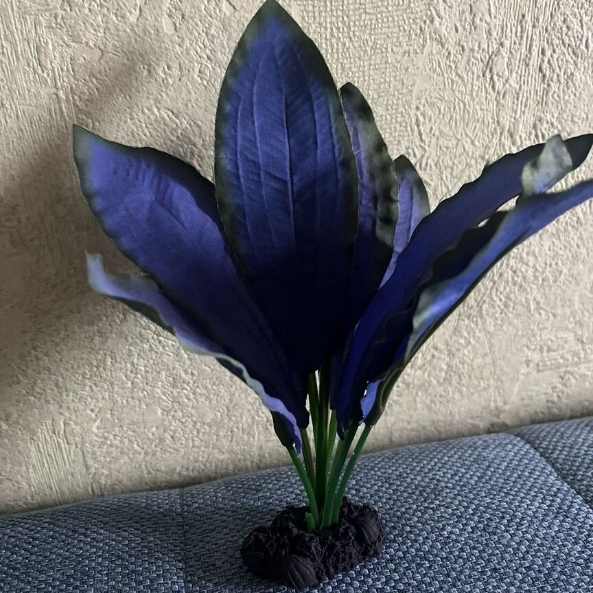 Декоративное растение для аквариума