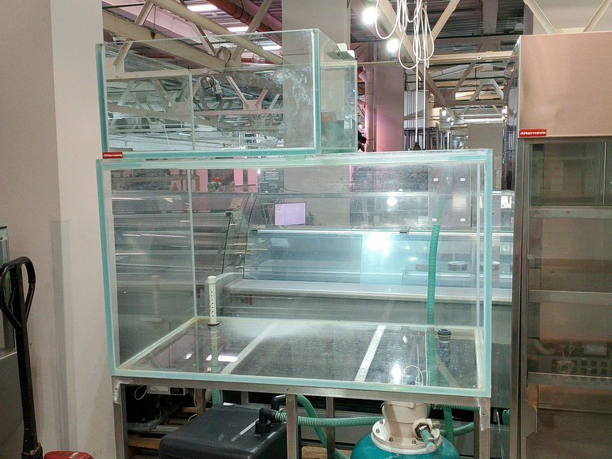 Аквариум для продажи живой рыбы 500л + рачник 130л