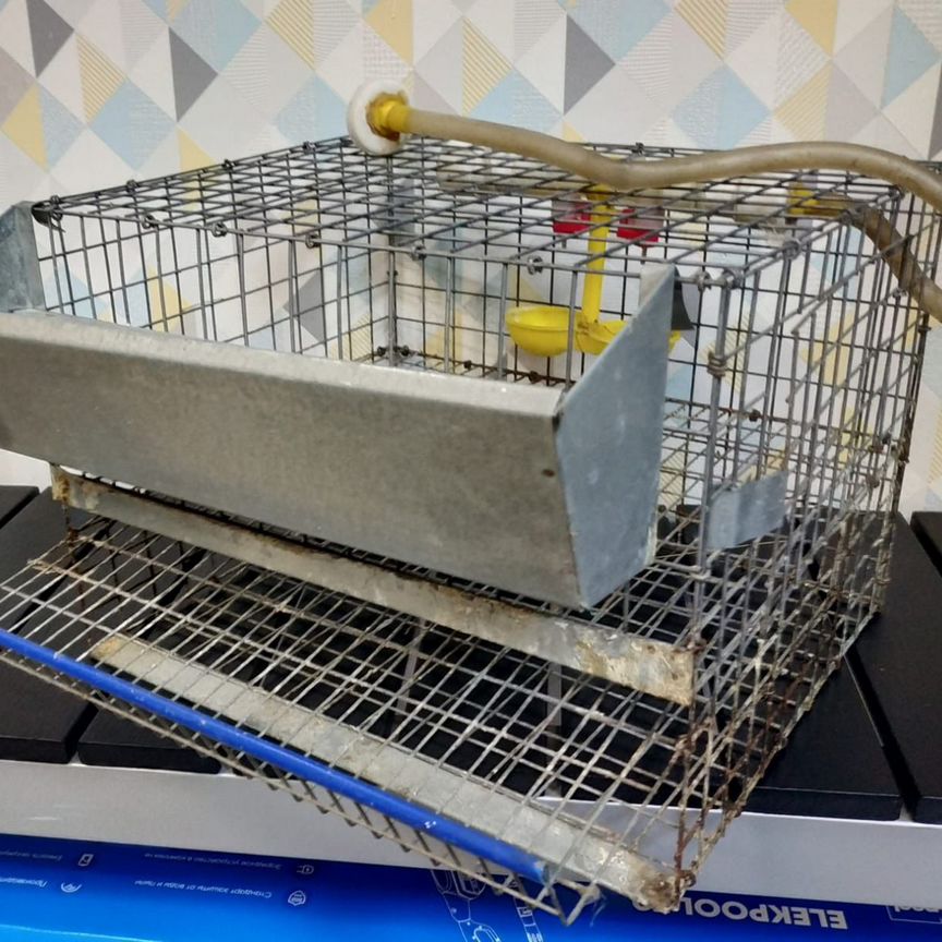 Клетка для перепелок