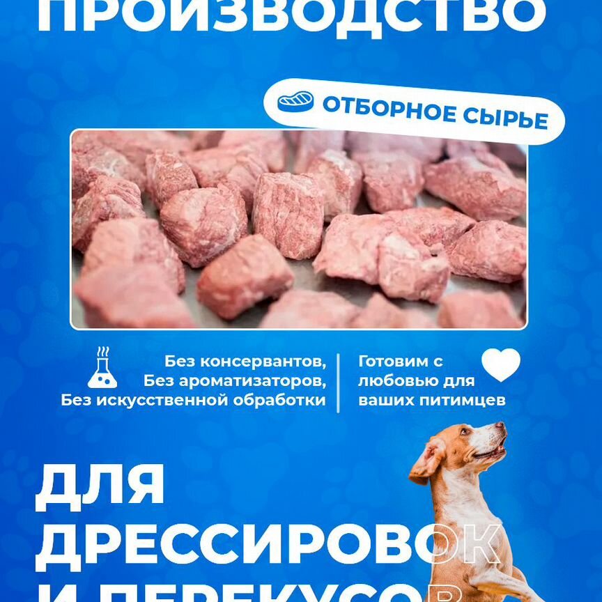 Вкусняшки Лакомства