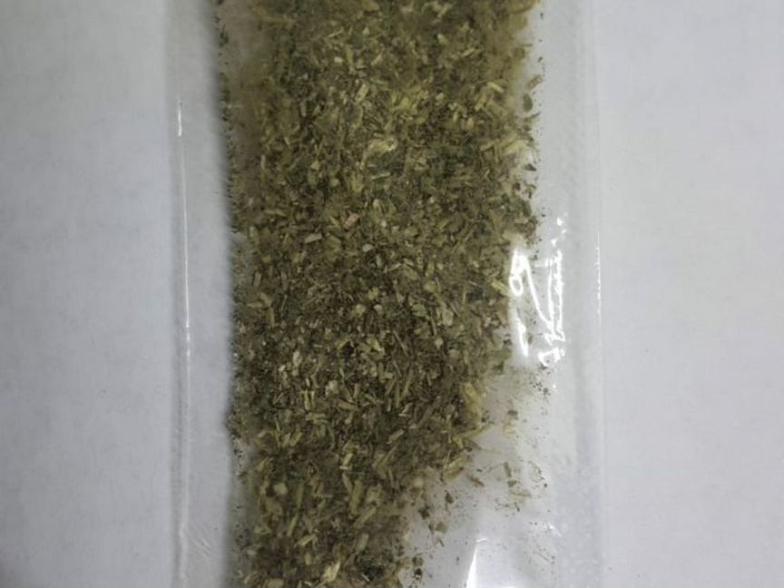 Кошачья мята (котовник)