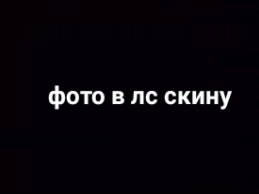 Собака ротвейлер(митис)