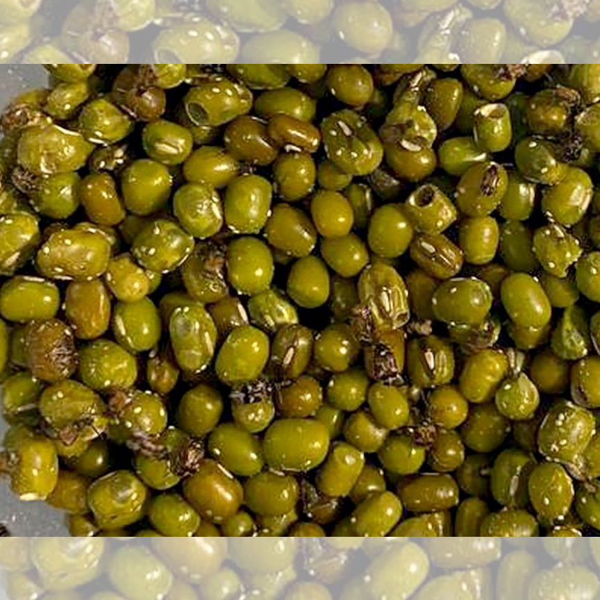 Бобовая зерновка