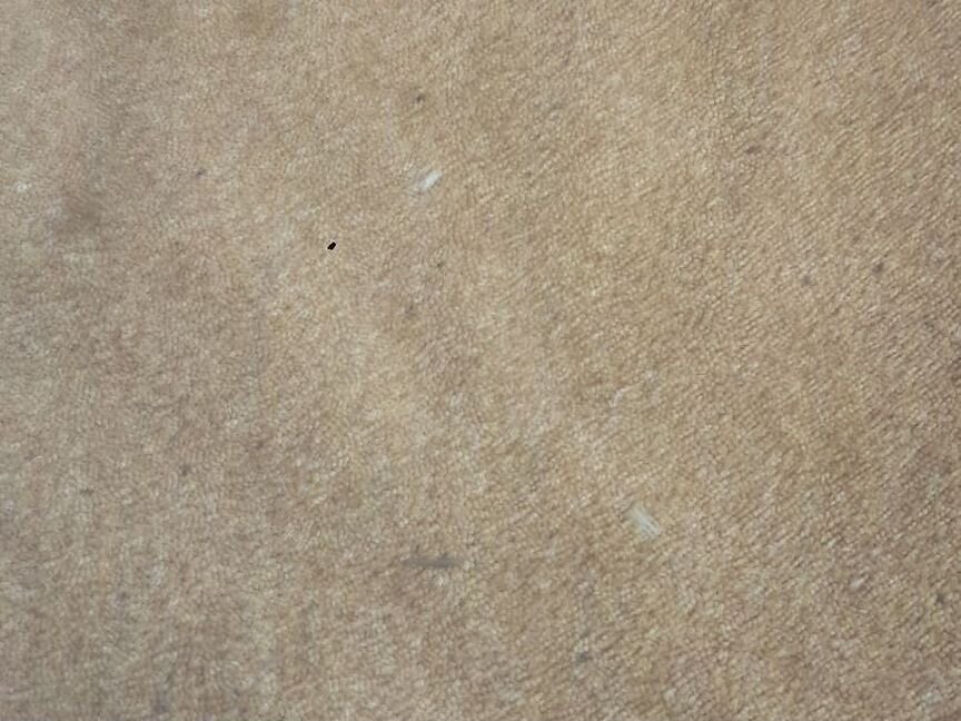 Просо желтое