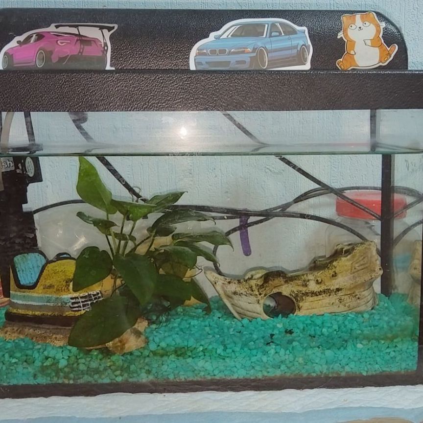 Аквариум 15 литров