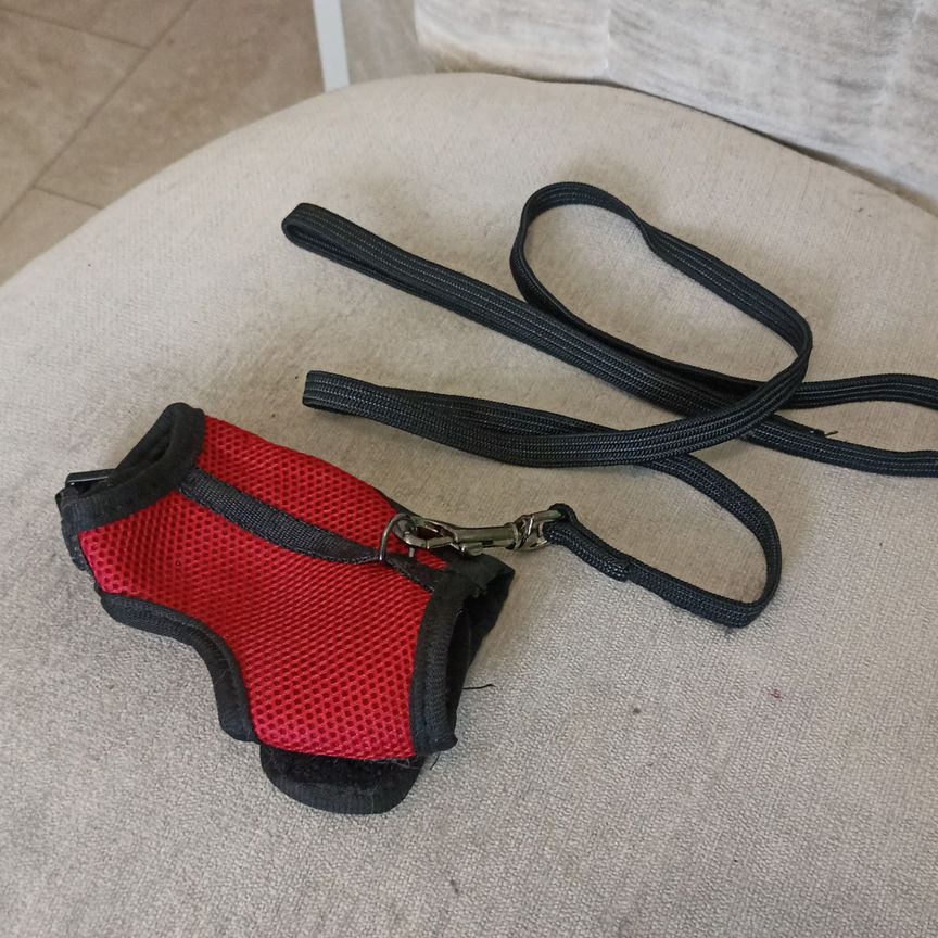 Шлейка для крыс