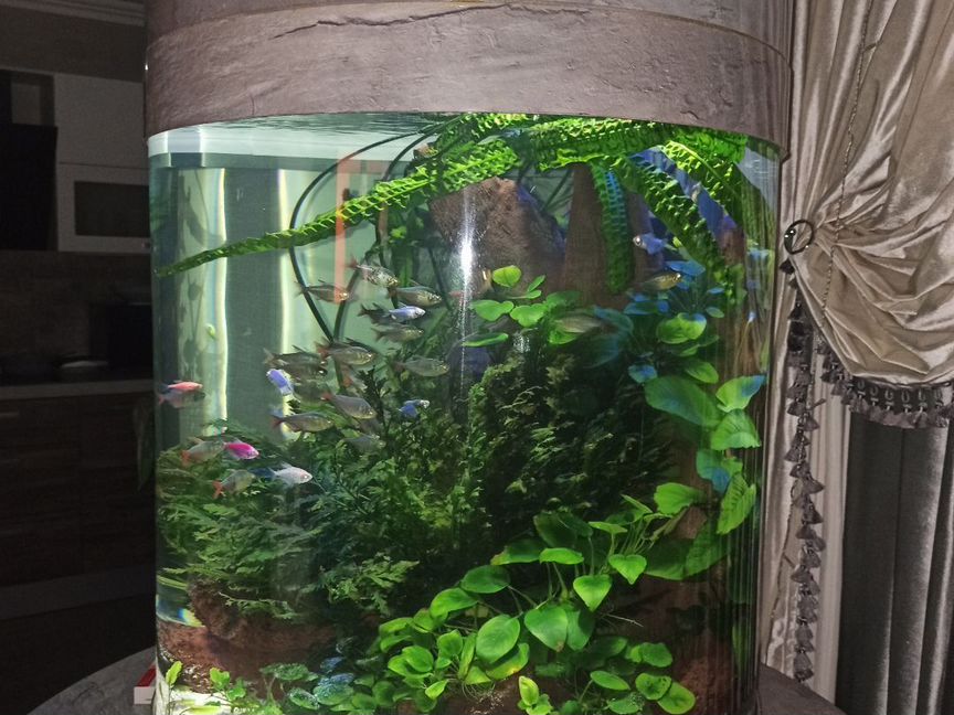 Аквариум цилиндрический с тумбой 215л