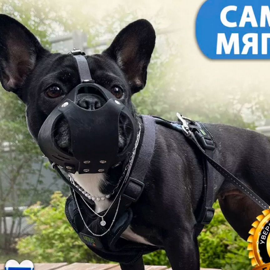 Намордник для собак