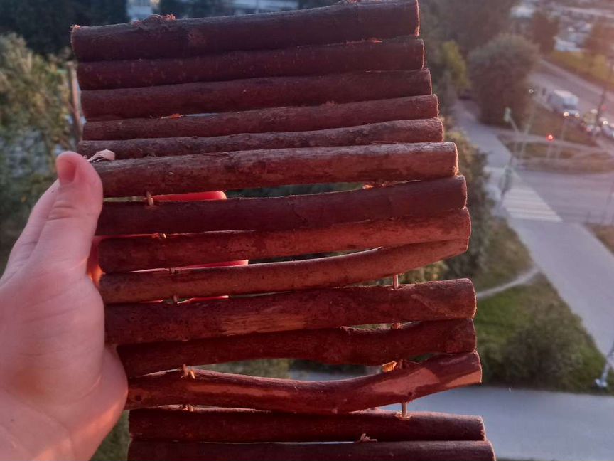 Мост для грызунов