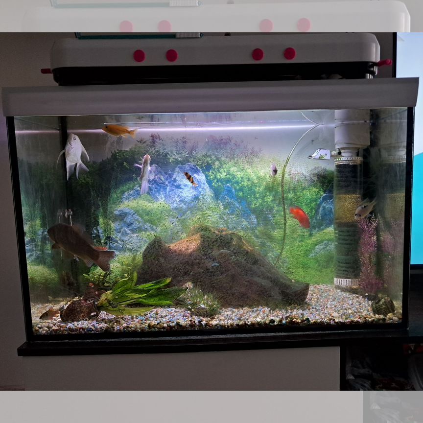 Аквариум с рыбками 160 литров