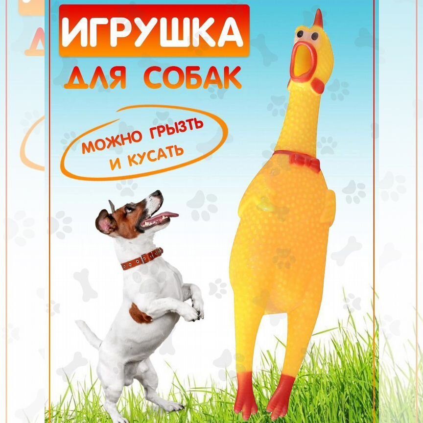 Курица для собак игрушка пищялка 38 см
