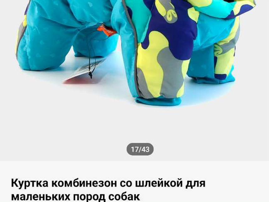 Комбинезон для Джек Рассела