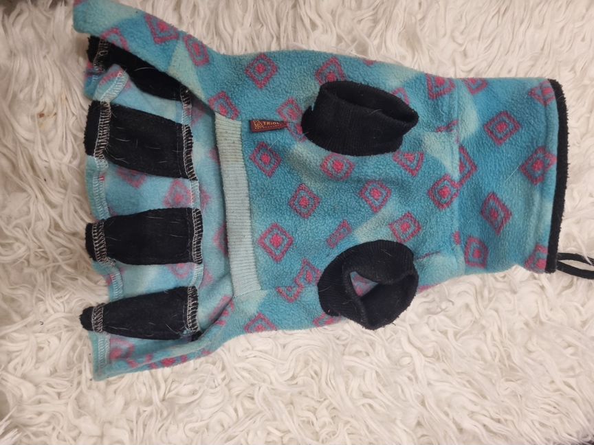 Одежда для собак мелких пород