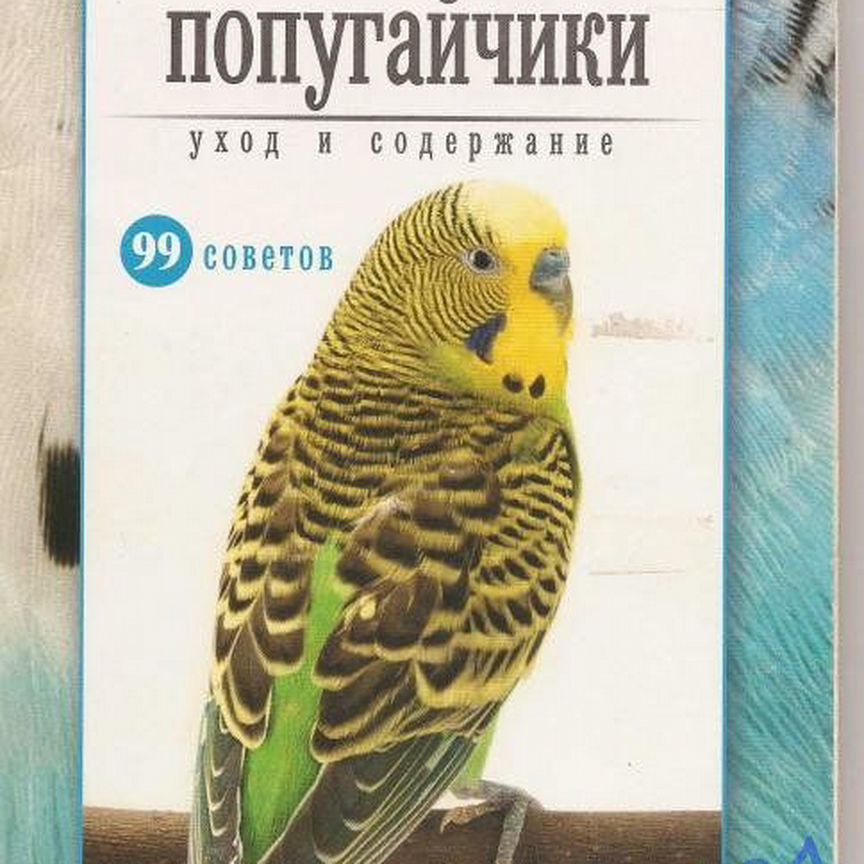 Отдам в хор.руки волнистого попугайчика